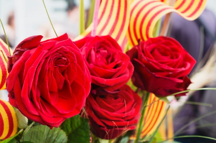 Celebra la Diada de Sant Jordi en Lloret de Mar